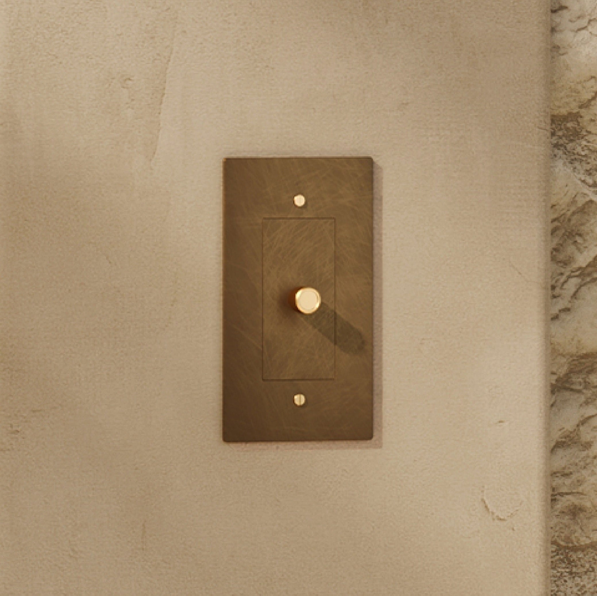 Dimmer Switches (2)