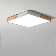 Delphi Ceiling Light — Residence Supply